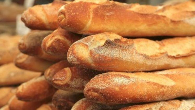 pan frances – Bichos de Campo