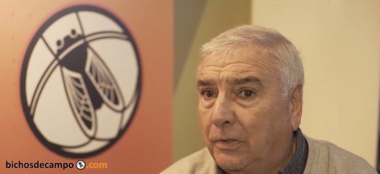 Mario Nardone | Bichos de Campo