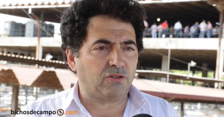 Pedace | Bichos de Campo