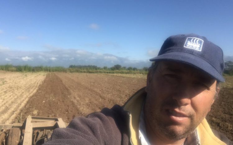 sergio parra | Bichos de Campo