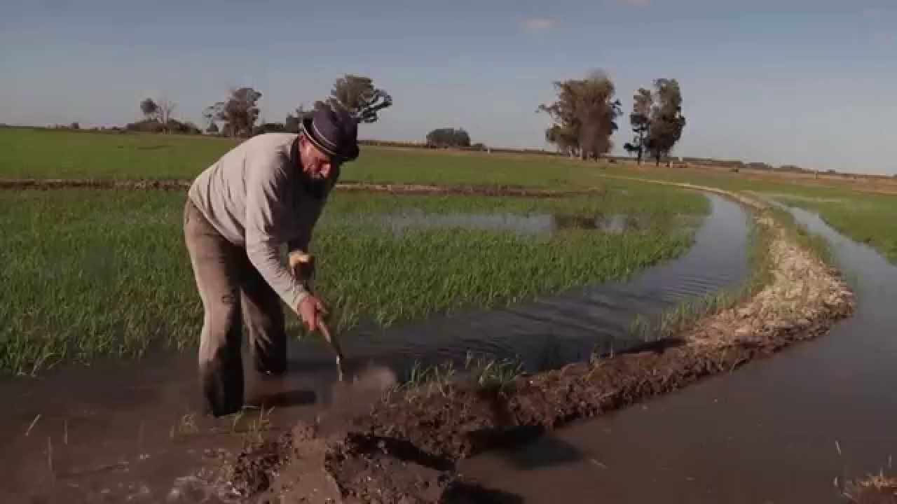 La Peña del Colorado: ¿Quién era y qué hacía el "taipero" de los ...