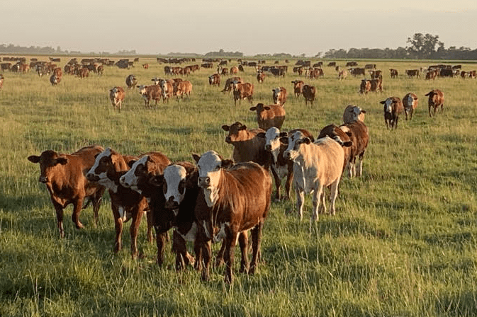 El USDA invierte 65 millones de dólares para subvencionar herramientas ...