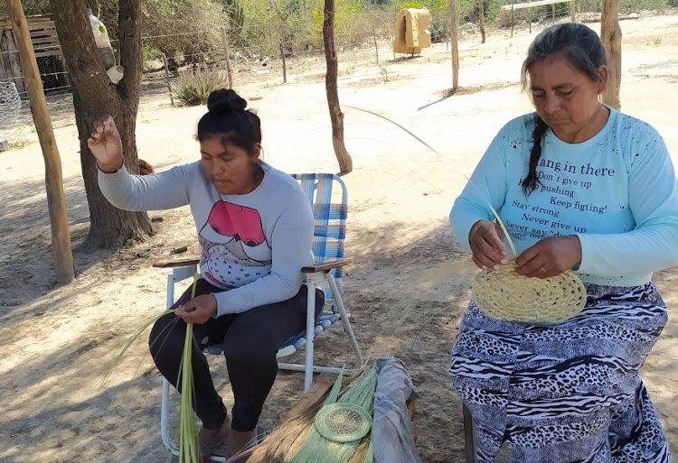pilaga 1 – Bichos de Campo