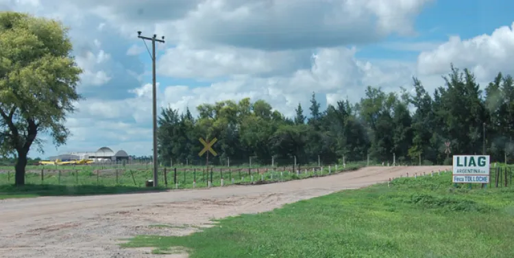 liago | Bichos de Campo