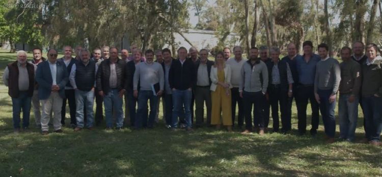 riccillo | Bichos de Campo