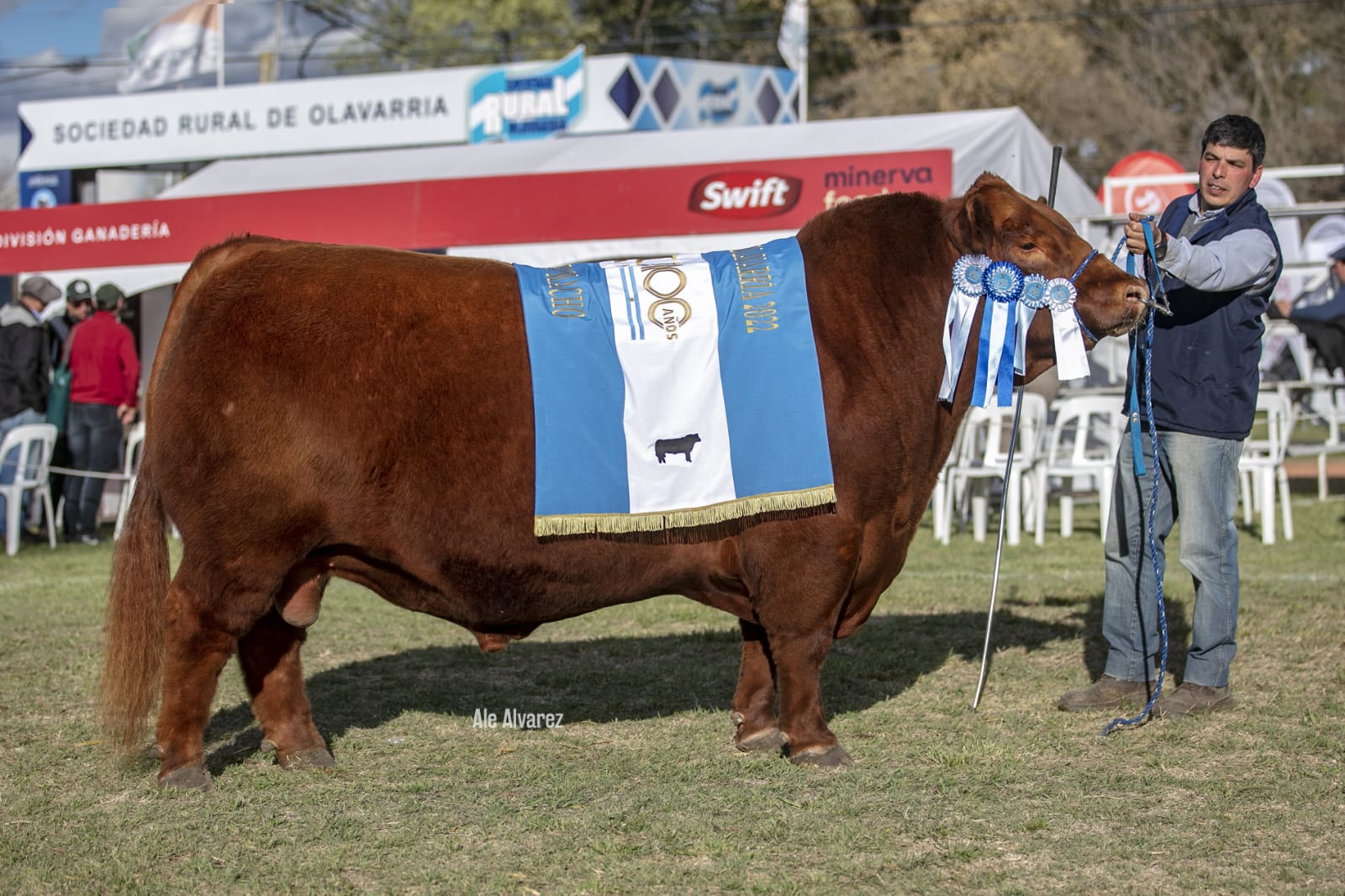 La virtualidad lo acercó a su cabaña de Angus favorita y le permitió ...