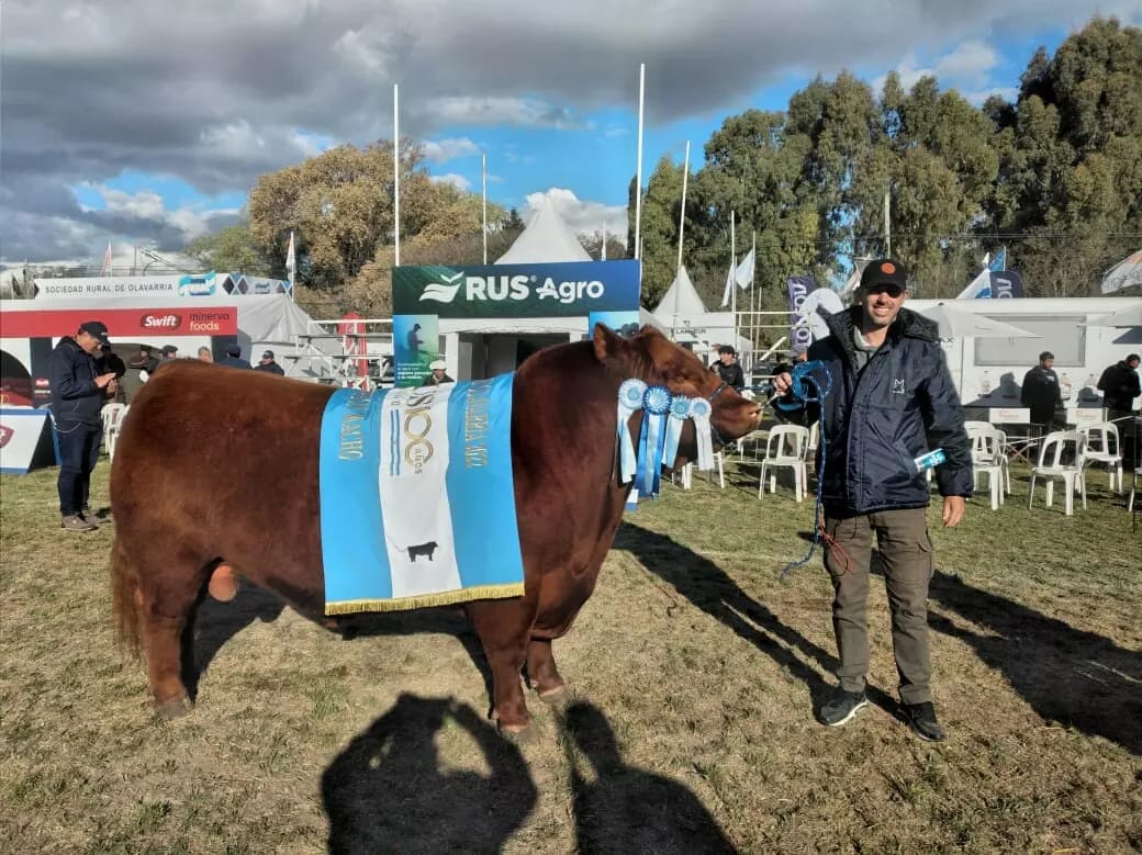 La virtualidad lo acercó a su cabaña de Angus favorita y le permitió ...