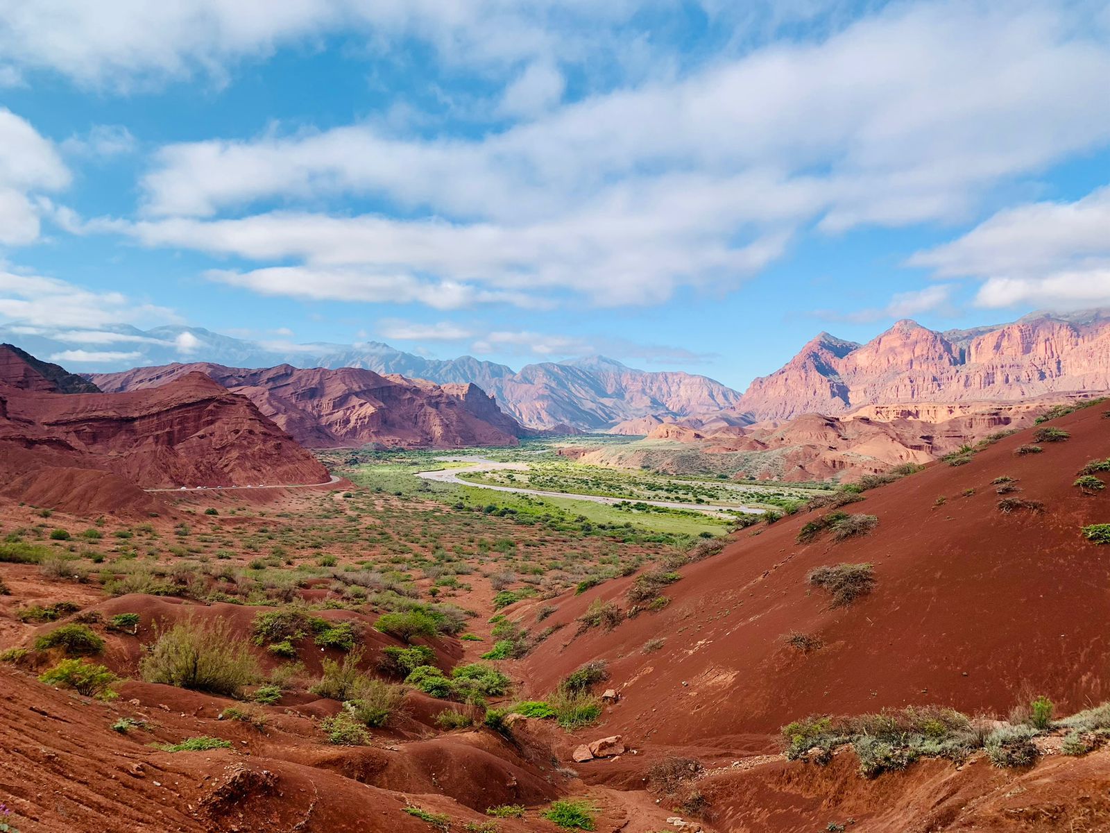 Chuflay, el gin del altiplano: una bebida boliviana que se produce en ...