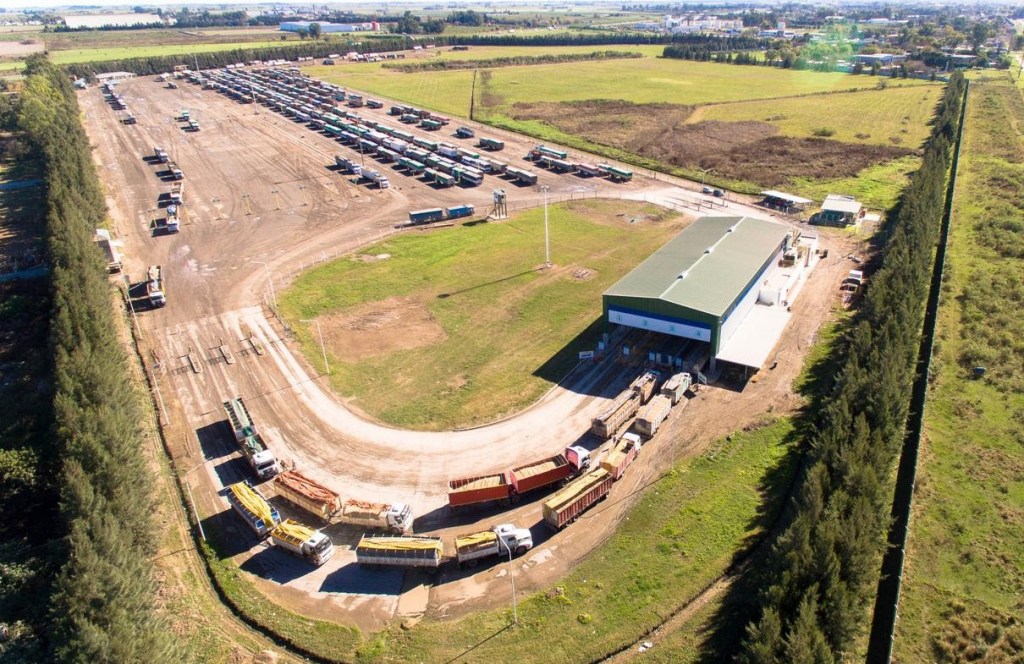 ¿Quién es Molinos Agro? El brazo agropecuario de la familia Pérez Compac maneja casi 15% de la ...