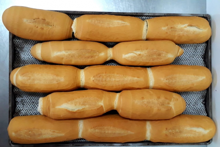 pan frances | Bichos de Campo