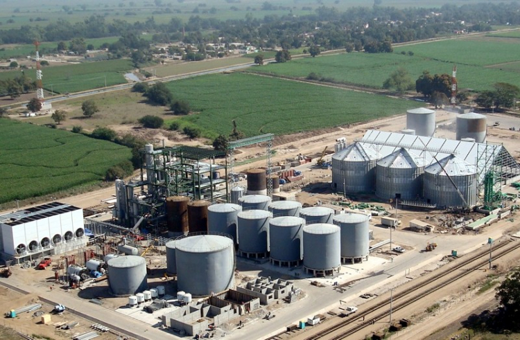 bioetanol-planta – Bichos de Campo
