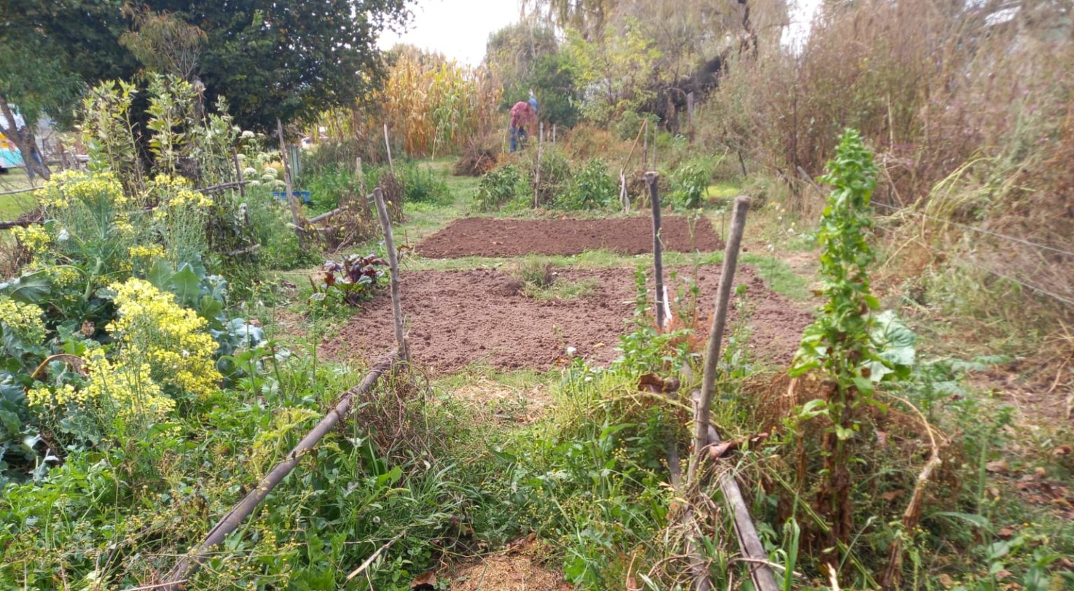 Hace 20 años Roberto Zonca comenzó a elaborar dulces caseros para poder ...