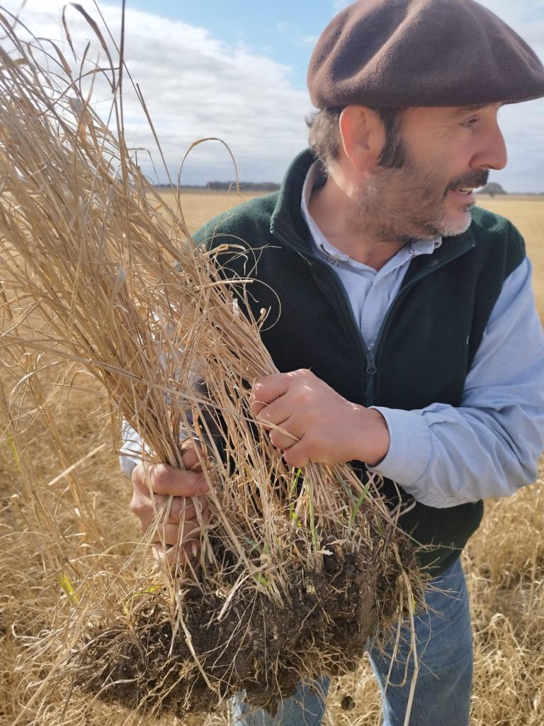 ¡Qué manera de ver pasto en invierno! Gastón Gallerano hace recría de ...