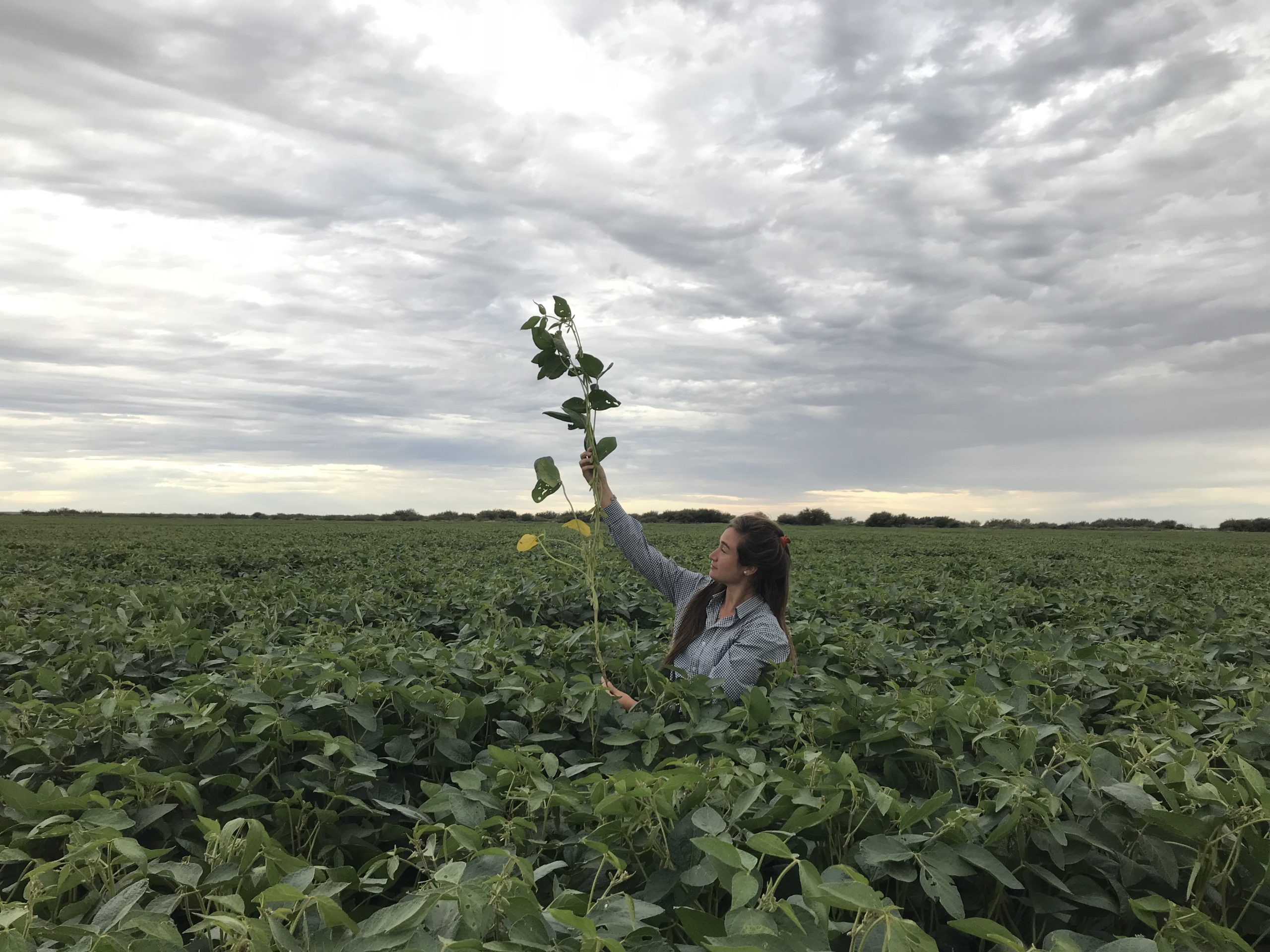 Magalí Gutiérrez04-muy usada | Bichos de Campo
