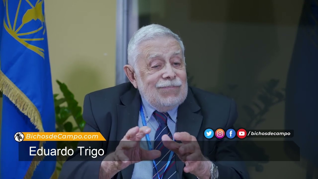 eduardo trigo+ | Bichos de Campo