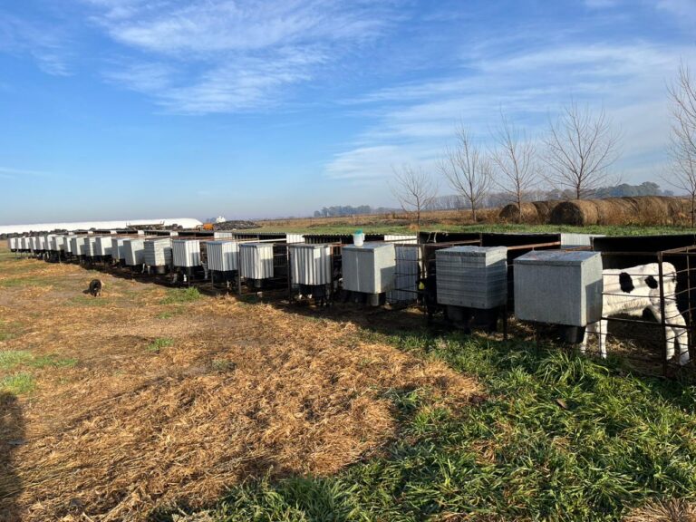 Tamberos Agrupados: Once pequeños productores se asociaron para ...