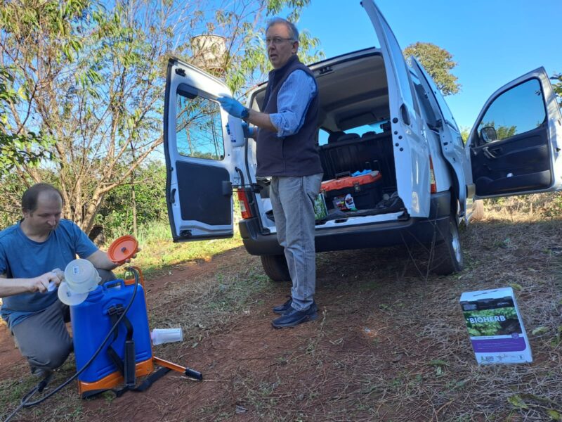 bioherbicidas-en-misiones-ifai-5-1 | Bichos de Campo