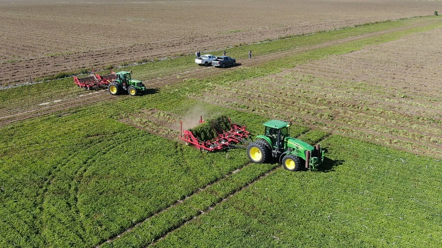 OLEGA 4 | Bichos de Campo