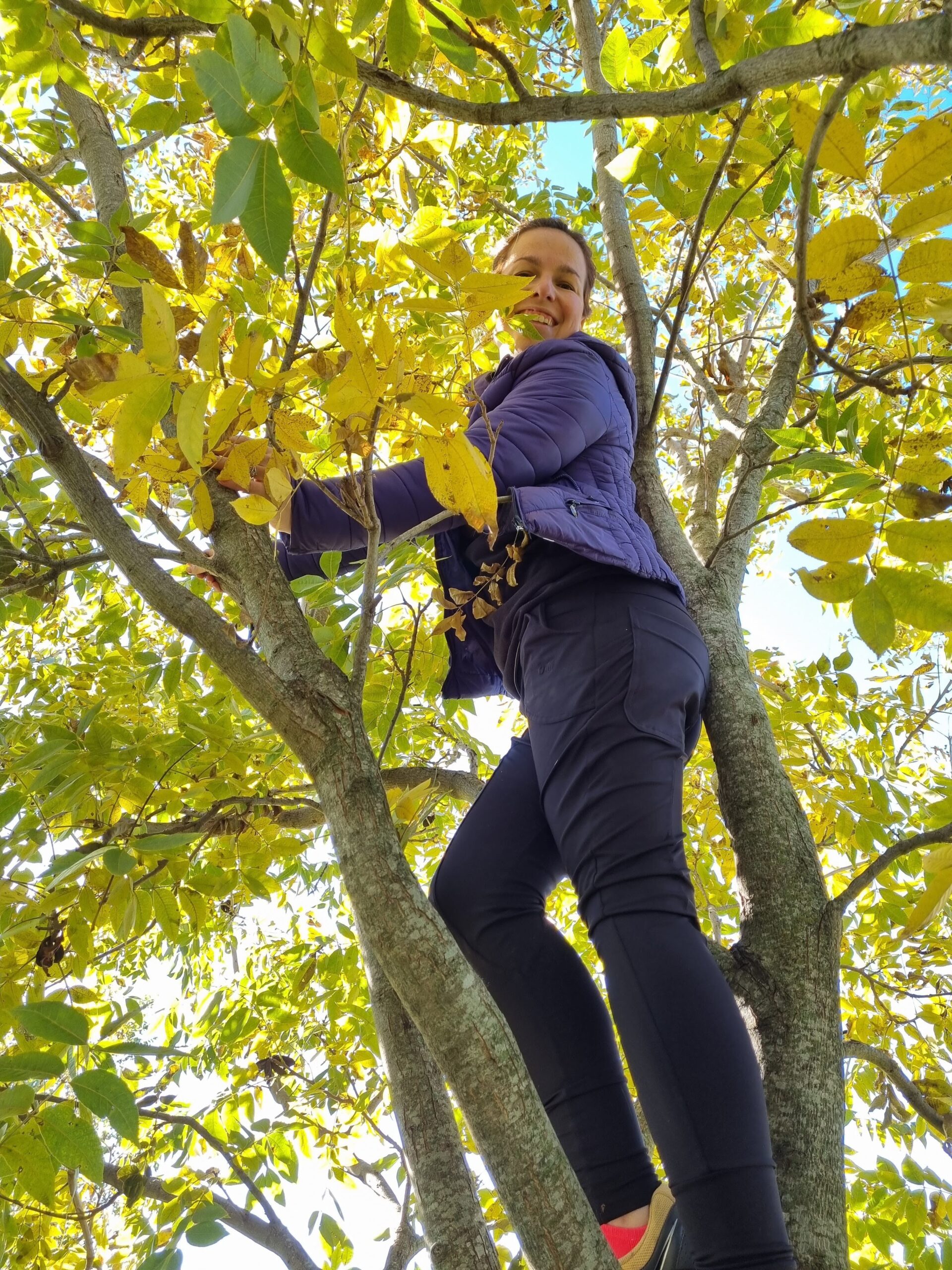 Soledad Rodríguez | Bichos de Campo