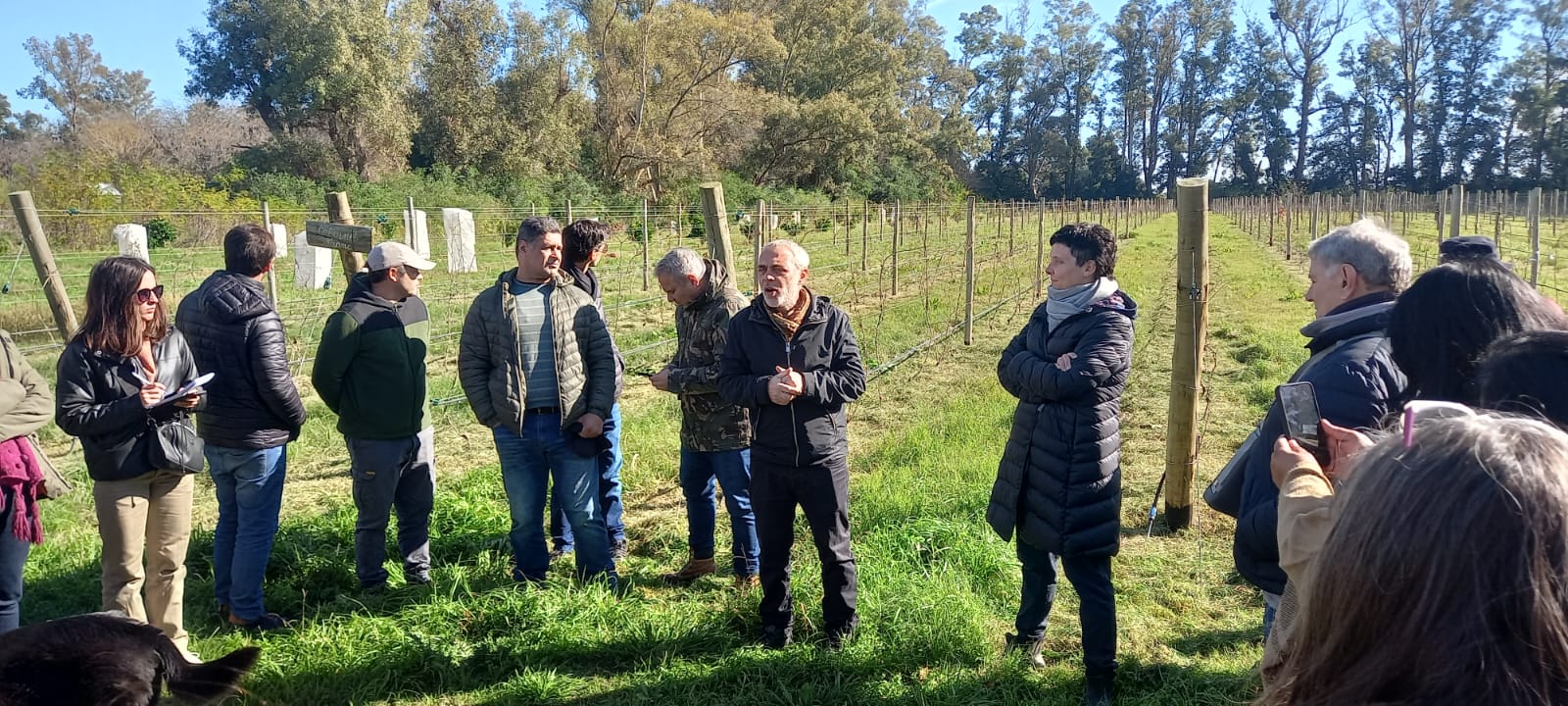 Abriola 1Tapa | Bichos de Campo